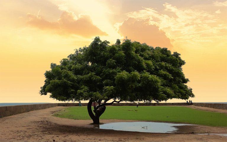 Explore Vattakottai Fort History in Kanyakumari